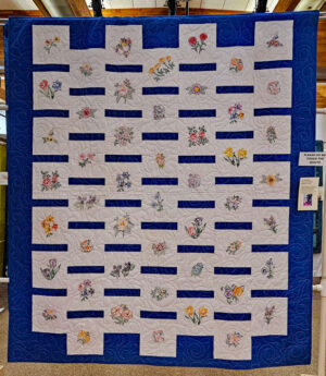 Folsom Quilt and Fiber Guild Show 2025 – Large quilt room – The Quilt ...